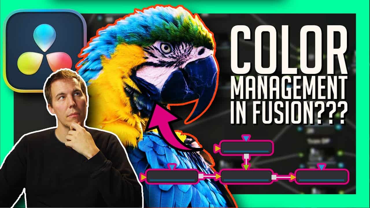 Color Management Basics in Fusion | DVResolve.com Color Management Basics in Fusion | DVResolve.com