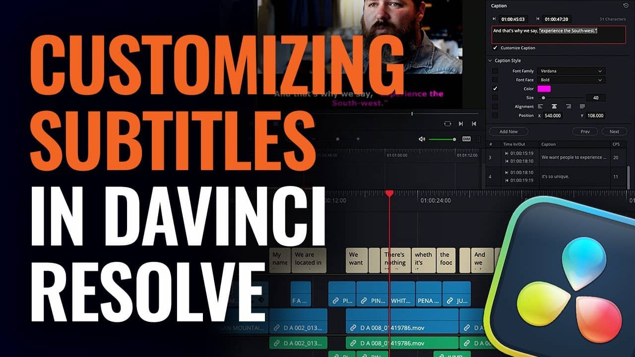How To Customize Subtitles In DaVinci Resolve DVResolve