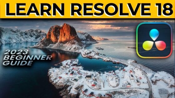 Using Project Libraries - Create, Backup, and Restore | DVResolve.com