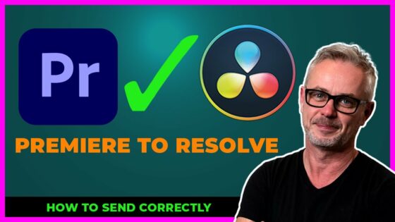 Using Project Libraries - Create, Backup, and Restore | DVResolve.com