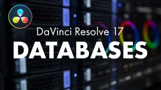 Beginner’s Guide to Creating DaVinci Resolve Presets | DVResolve.com